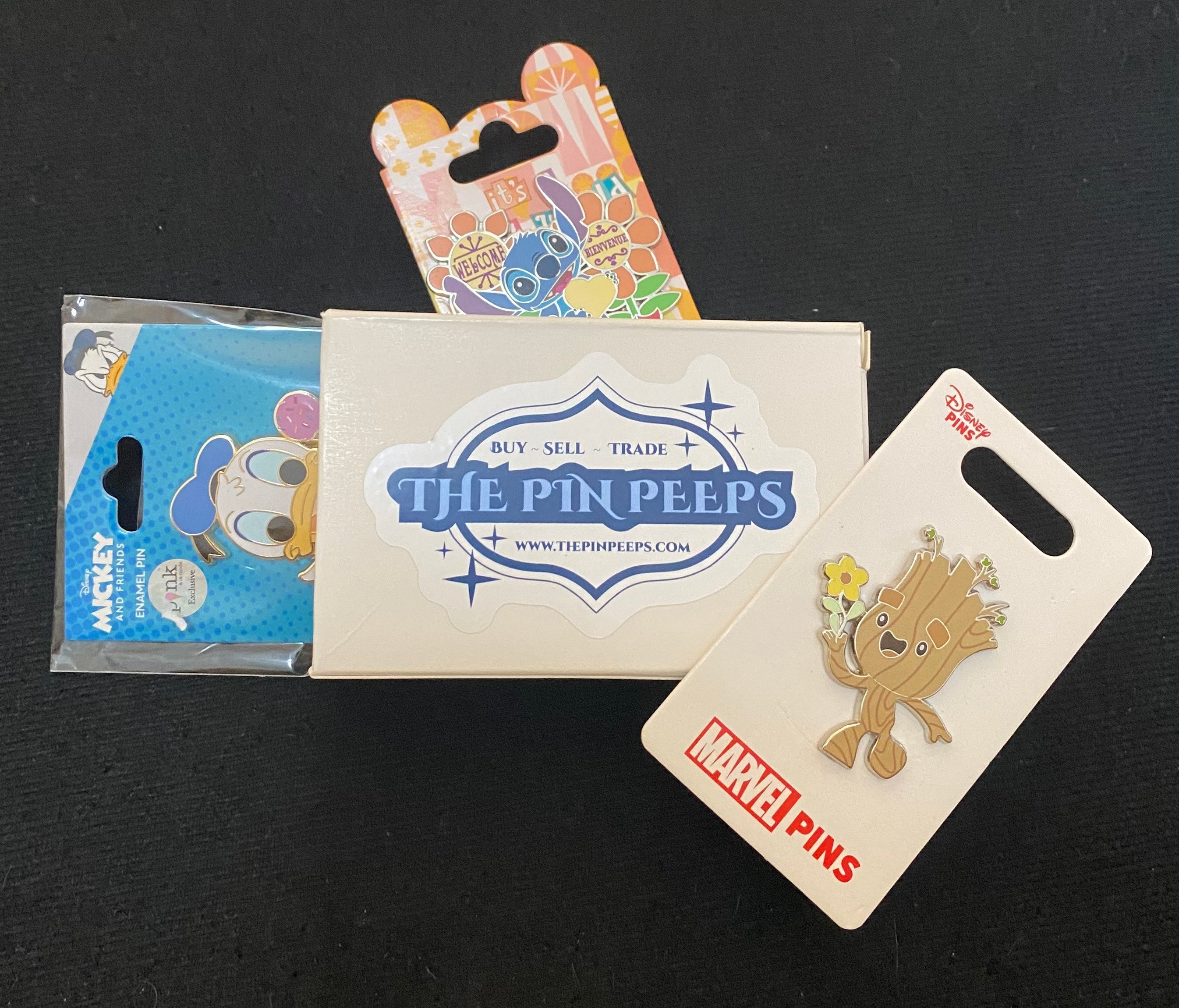 The Beginner – The Pin Peeps